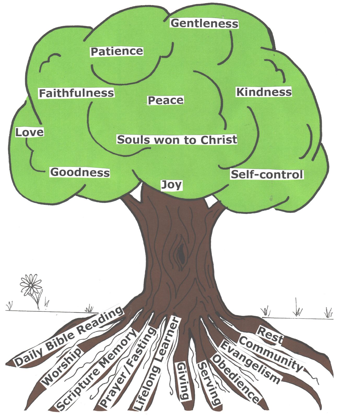 The Tree Root Illustration